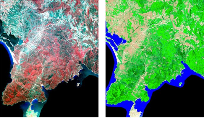 CIR Color Infra Red 60cm Ortho aerial imagery of Capo Teulada, Italy ...